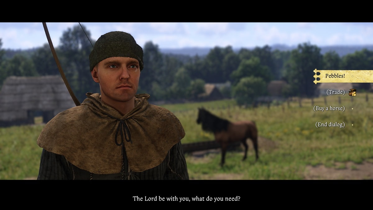 王国で馬小石を取り戻す方法 - BUFF.PLUS